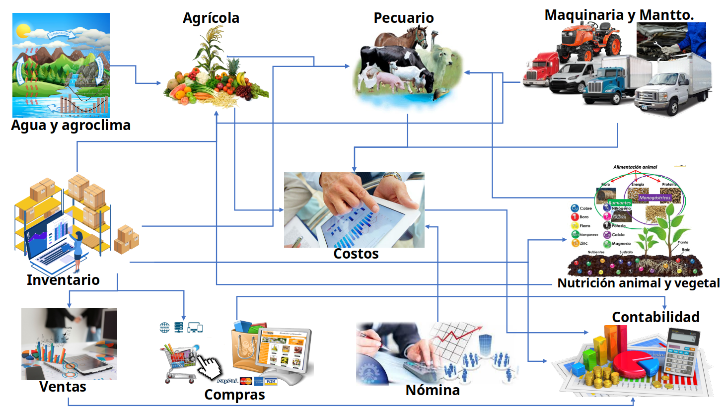 Agropec Star - Inicio